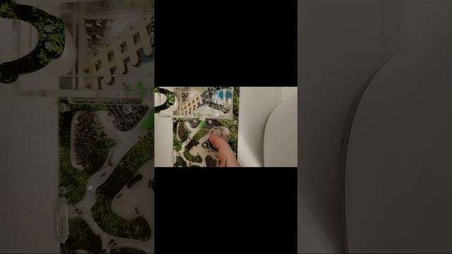 Что если дать муравьям креветку? Мои муравьи!