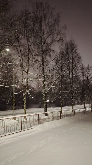 Fireworks ©20251231