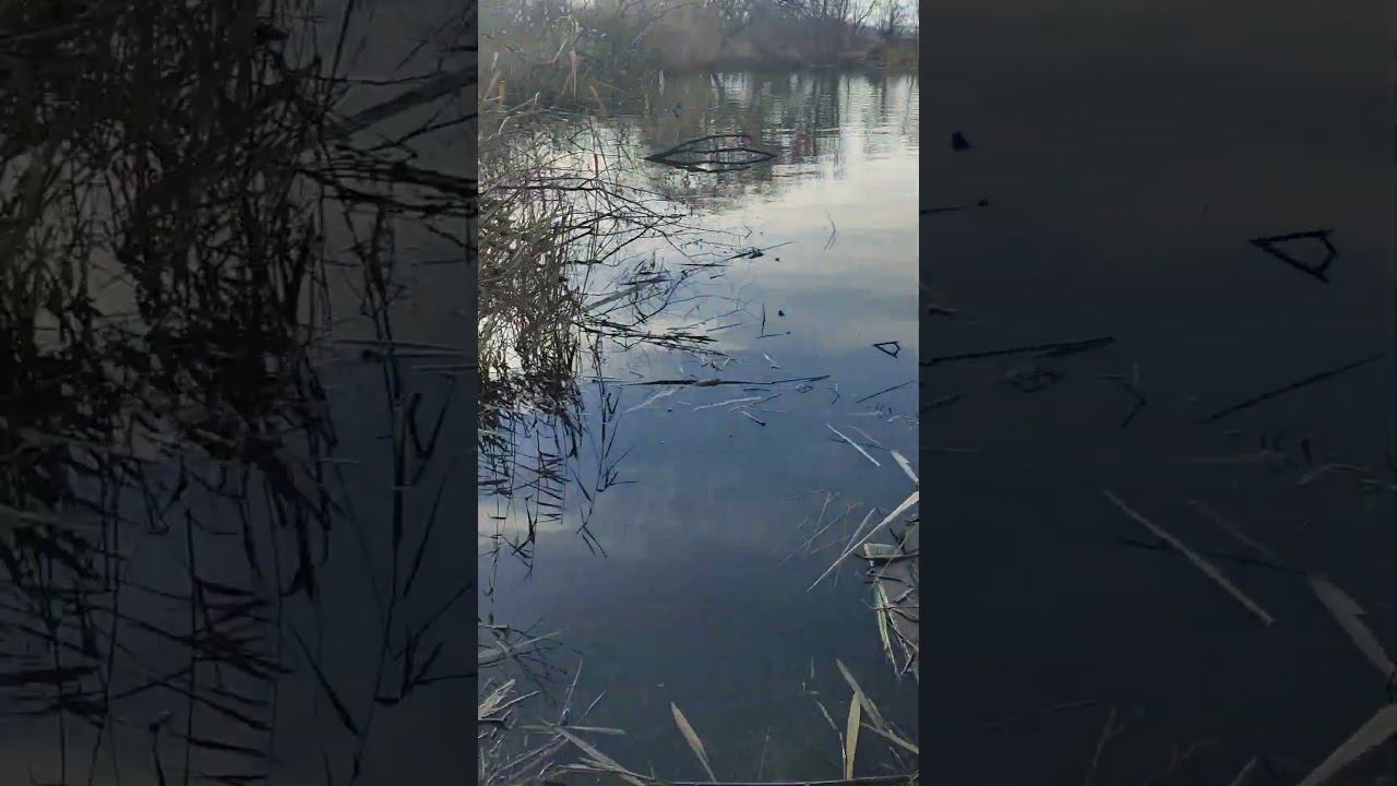 Обстановка на Понуре часть 7. Другой ракурс.