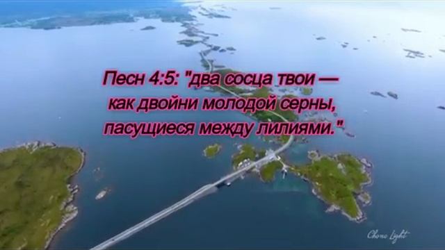 4 Песня песней четвёртая  глава