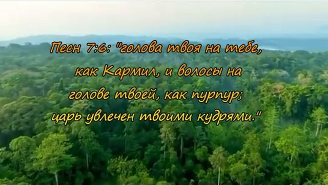 7 Песня песней седьмая глава