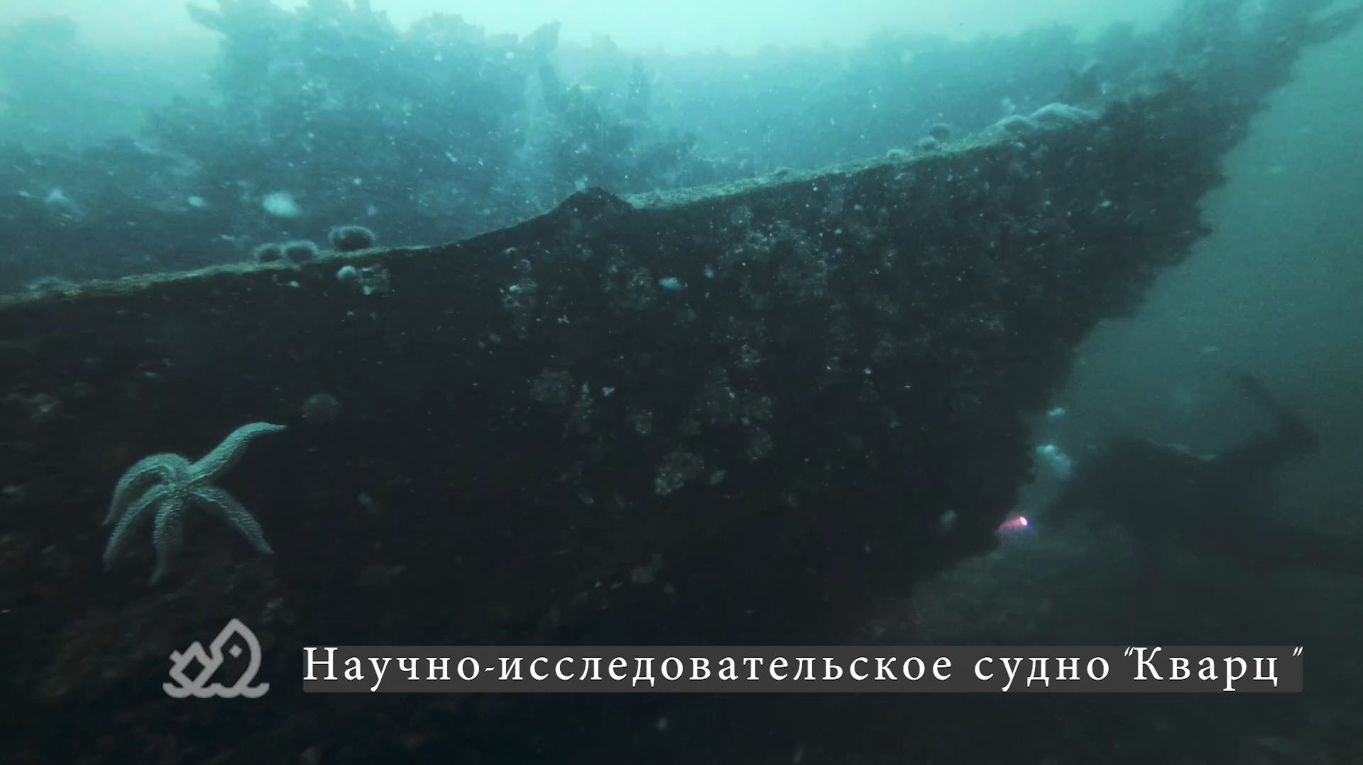 Научно-исследовательское судно "Кварц"