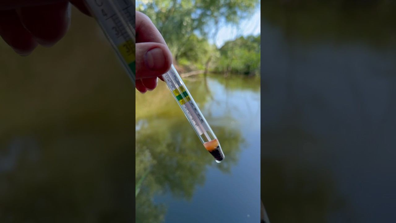 01.06.2024 температура воды в реке Понура.