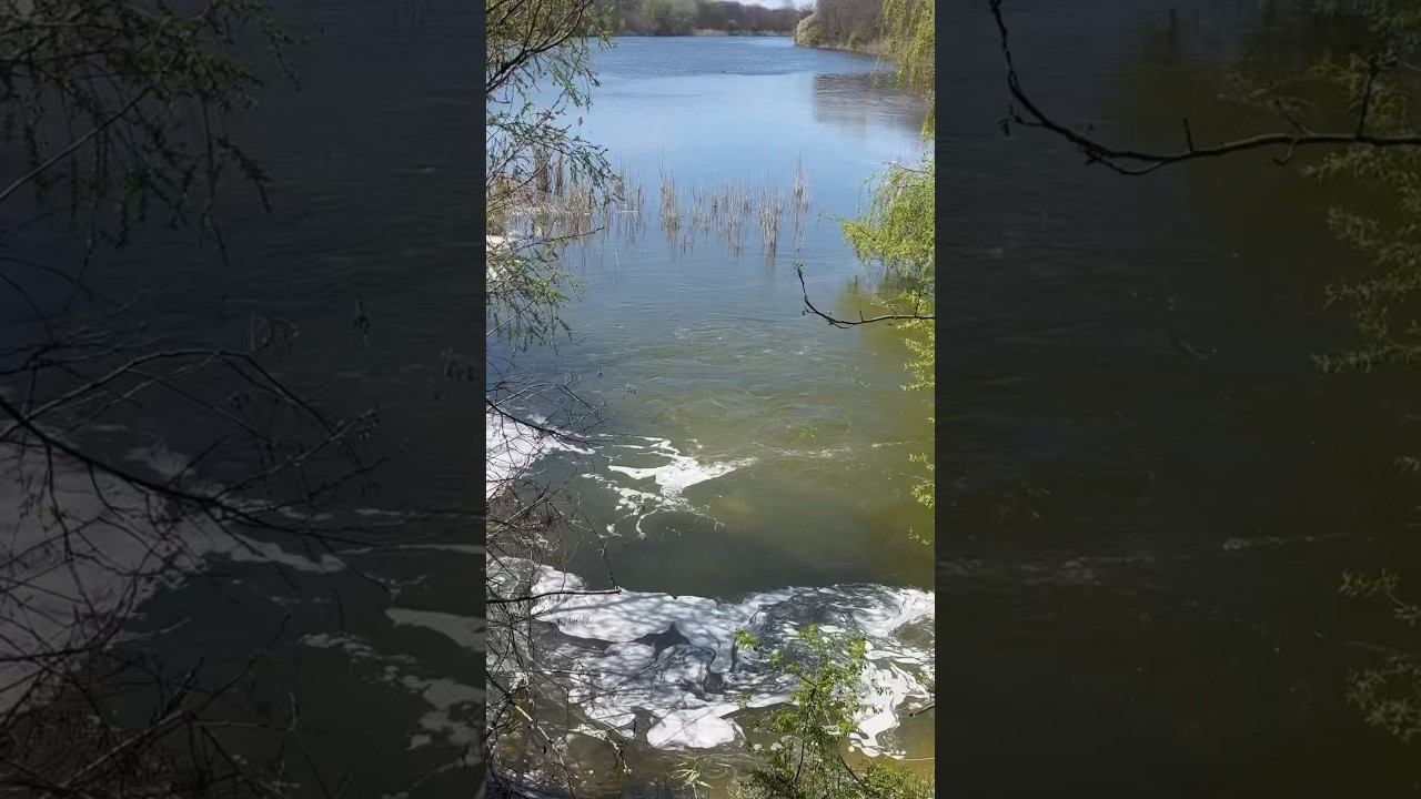 Обстановка на Понуре часть 17.