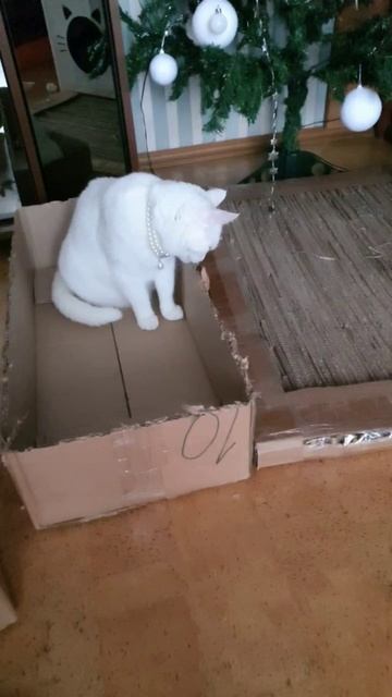 Милка помогает готовить каропки 1