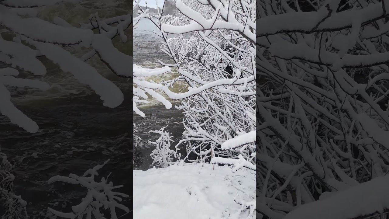 Обстановка на Понуре часть 9.