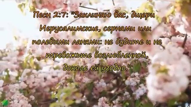 2 Песня песней Вторая  глава