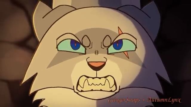 Коты воители/Мап/