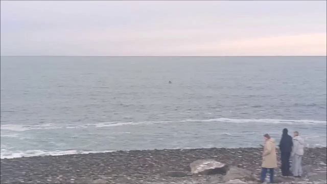 Море 1 января в Сириусе