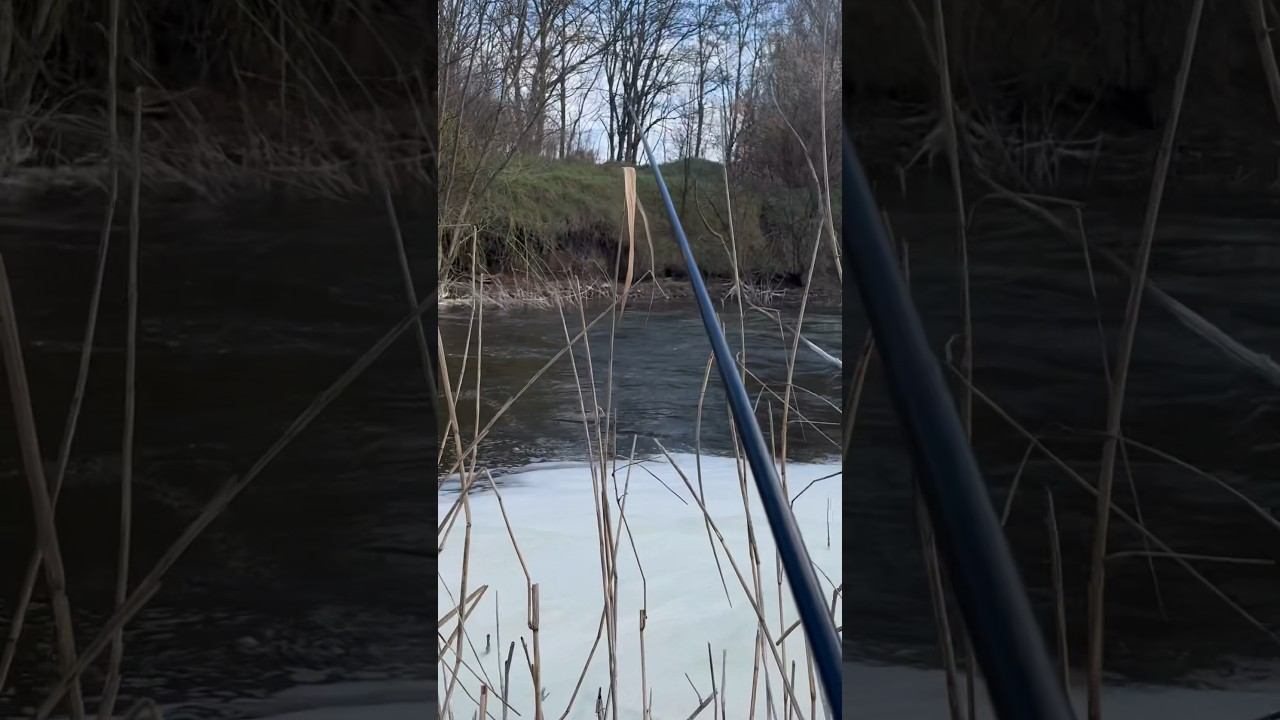 Обстановка на Понуре часть 15.