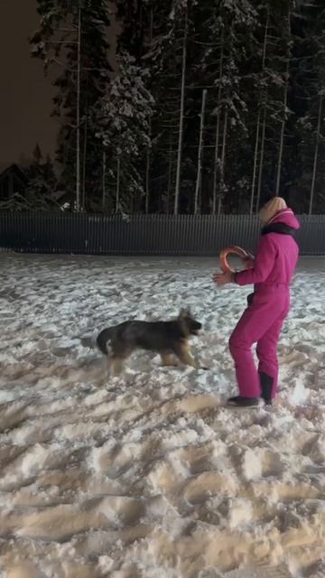 Новогодний привет от Баларис ТАНОСа,  4 месяцев