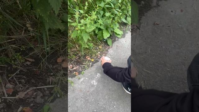 Третья часть заброски