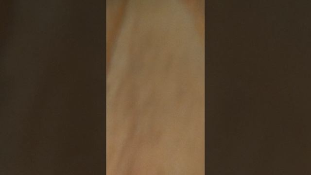 Анекдоты от Барса часть 2.