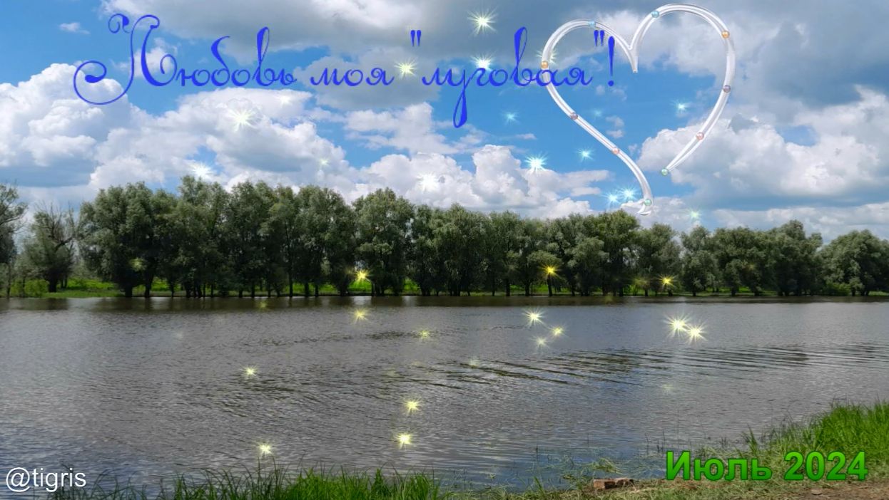 Любовь моя - луговая! 2024