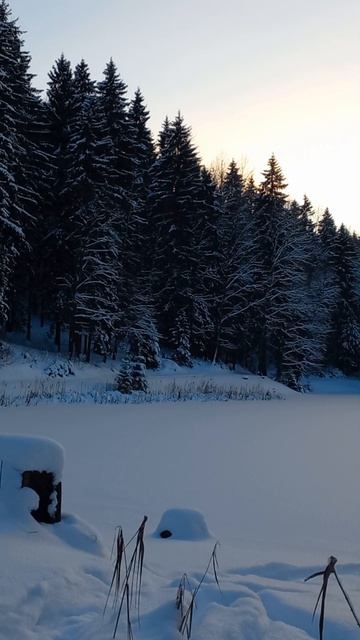 Первый зимний день 2026, озеро Комэск (Кристалл)