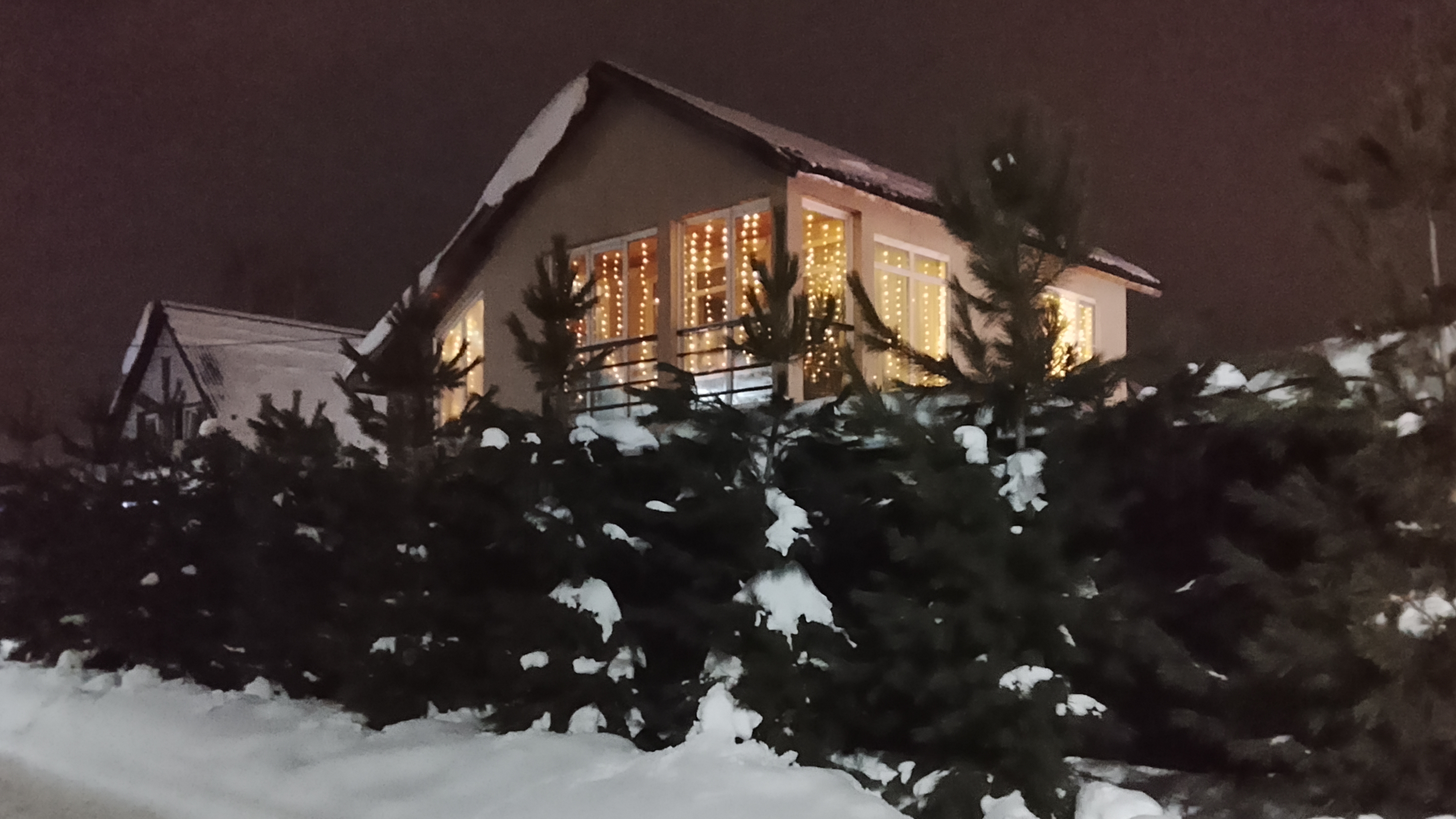 Новогодняя ночь/ Белые Росы/ Новосибирск 🙂