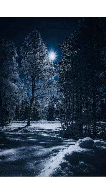 Русская Зима ⛄⛷️❄️🧥