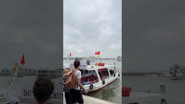 2.1. Едем исполнять мечту в бухту Халонг. Реалити "Аня и Вьетнам"