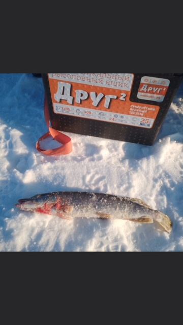 Сегодня порыбачил на Жерлицы🎣 Клёв вялый, но все таки удалось поймать не плохую щуку👍