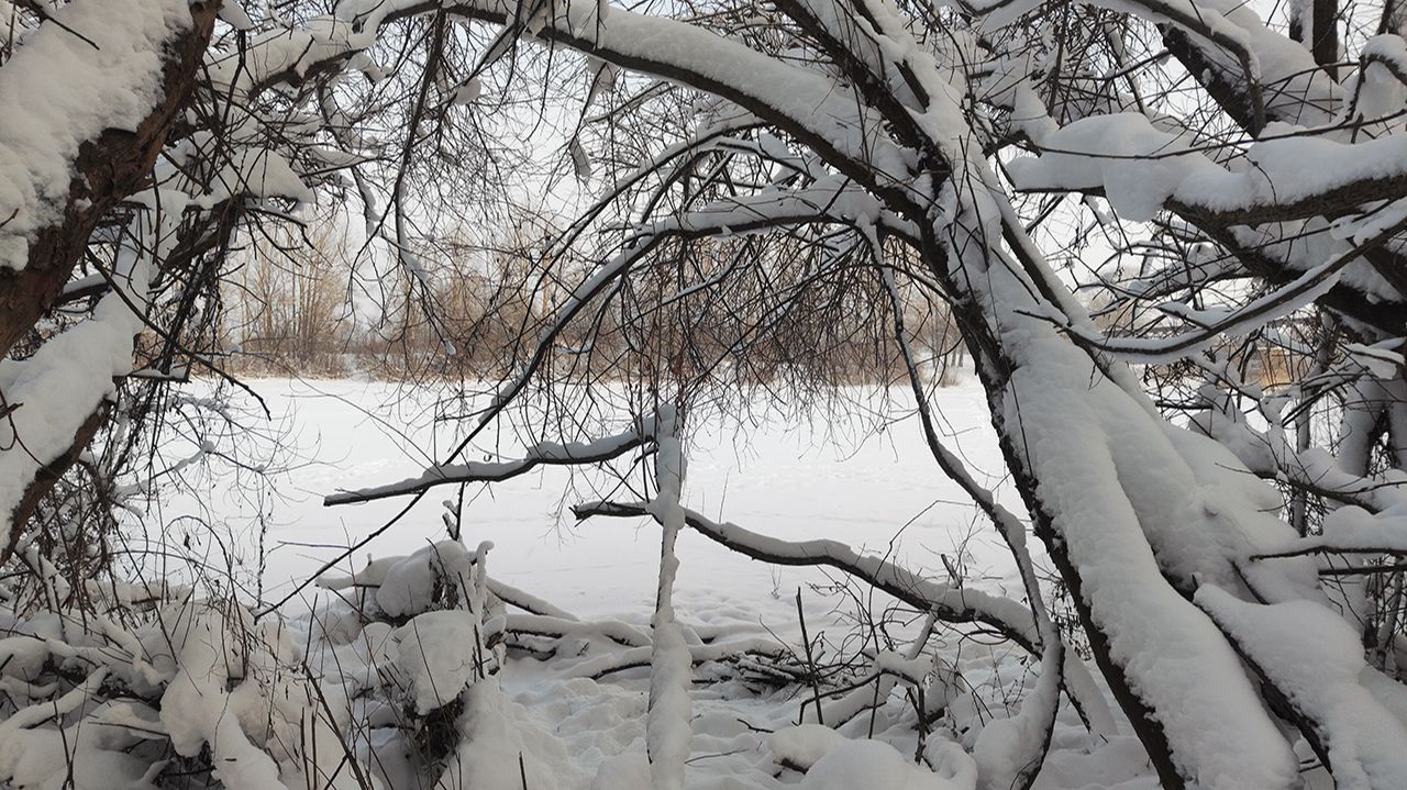 Открытие зимних рыбалок 2026 год. Классный отдых на природе. Посиделки у костра.