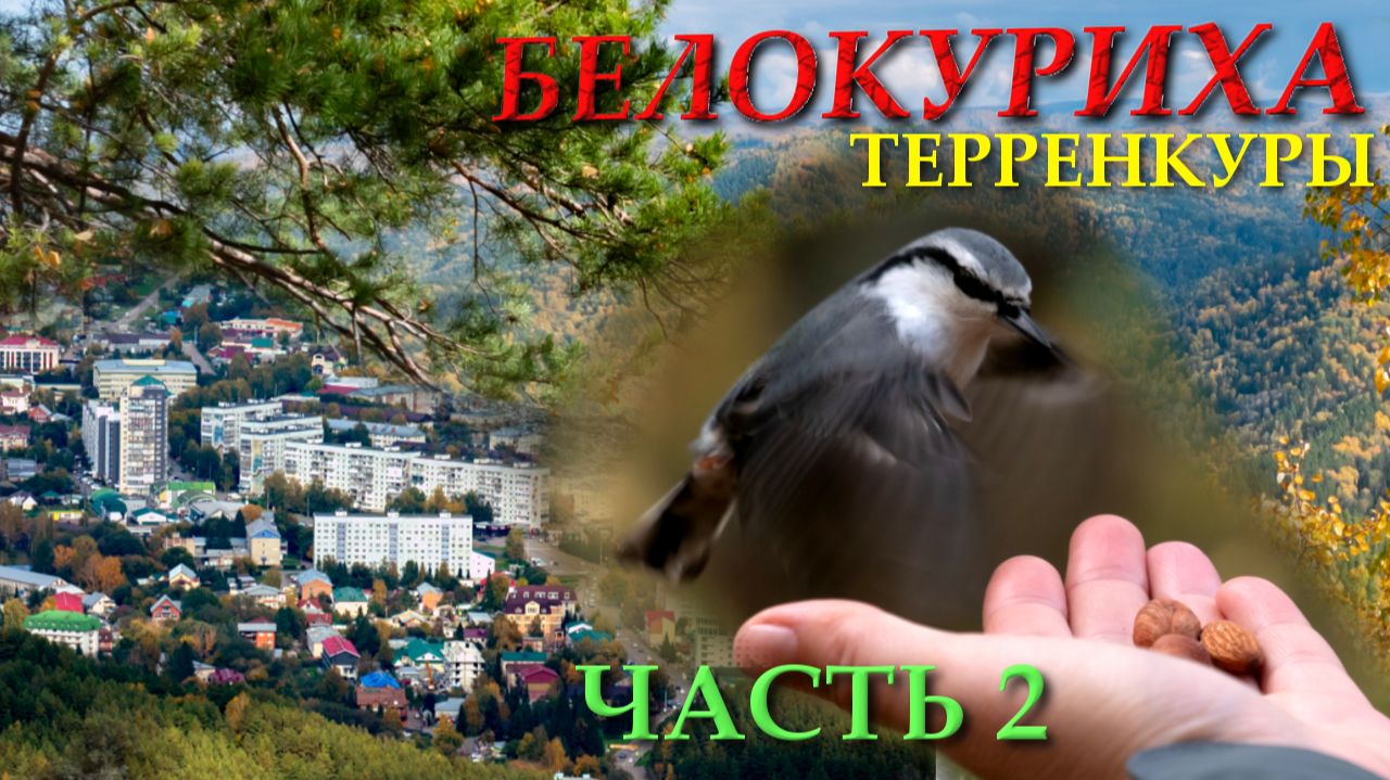 Белокуриха 2025. Терренкуры. Часть 2. Осень