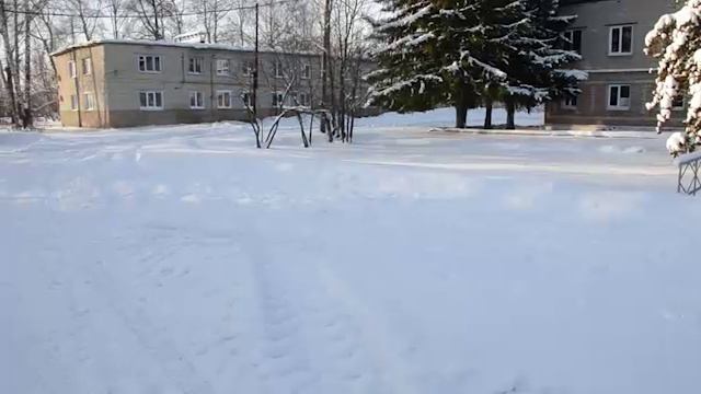 Плодосовхоз в Центре .