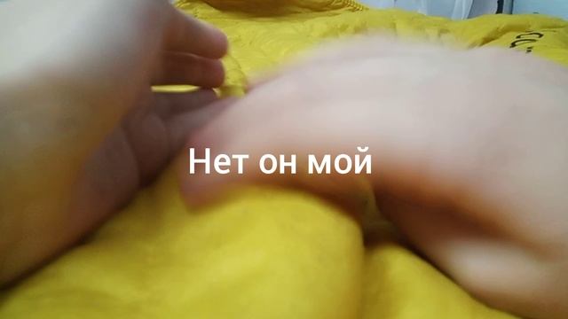 глупые котята 28