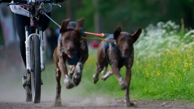 Случай на трассе соревнований