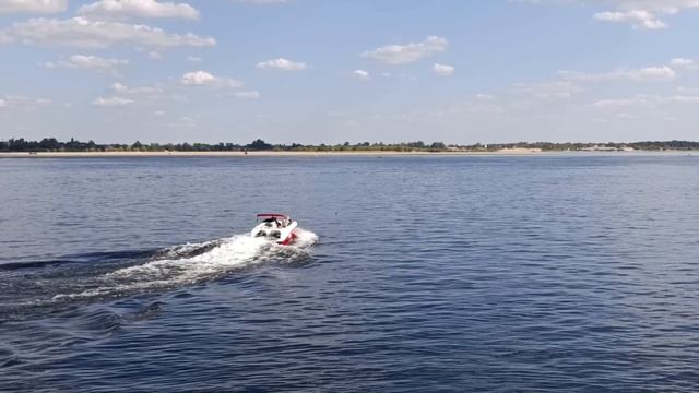 Чайки. Новый хит