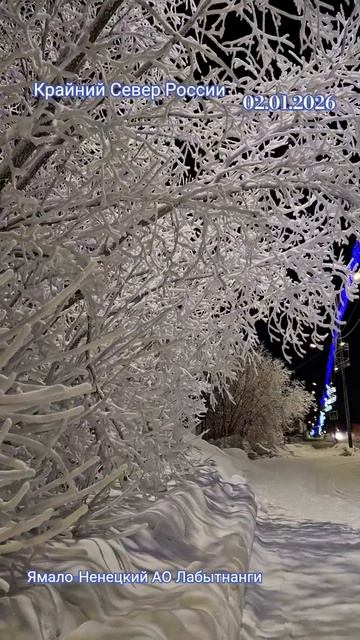 Прекрасный северный край за полярным кругом Ямало-Ненецкий АО Лабытнанги ЖизньСеверян 2026