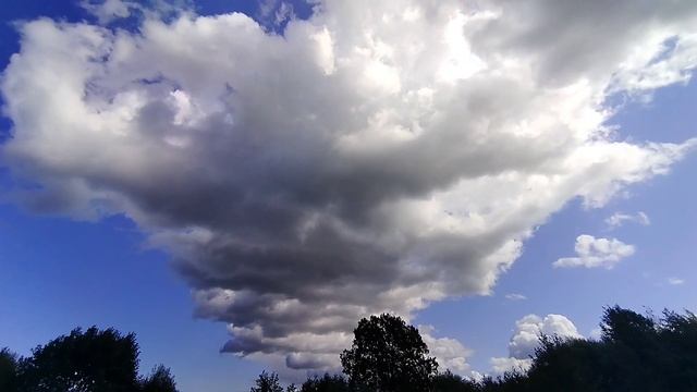 Таймлапс (TimeLapse) "Полдень на пруду"