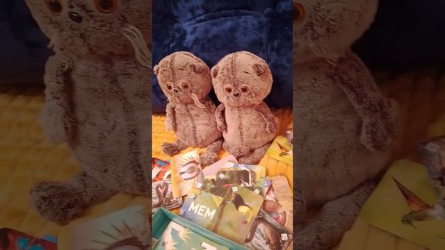 смешные истории про басиков