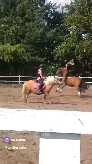 vkclips_20260101032950