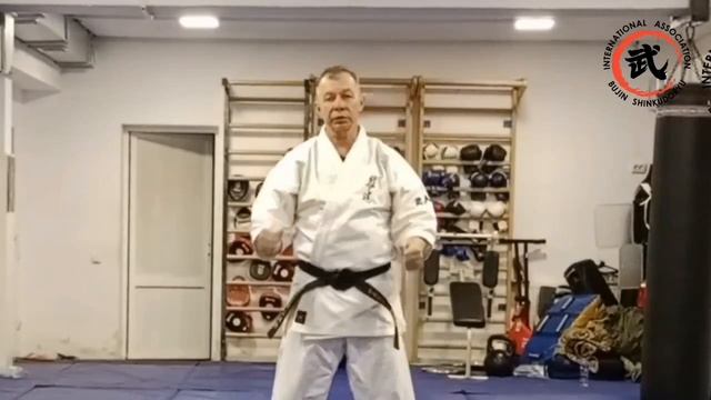 Техника ударов руками / Te-waza / Punches