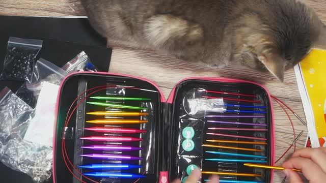 Покупки декабря