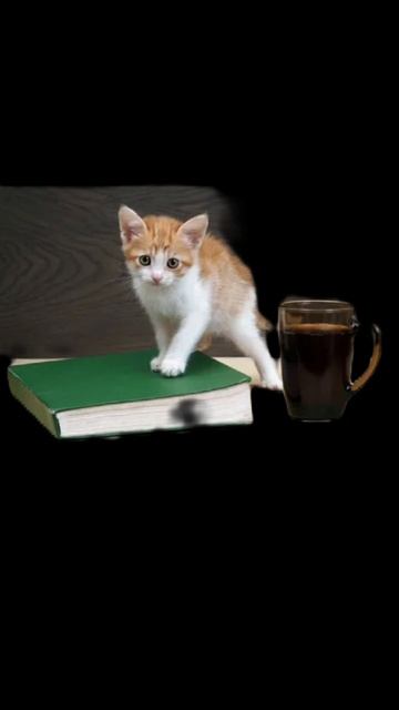 С ногами на стол😂