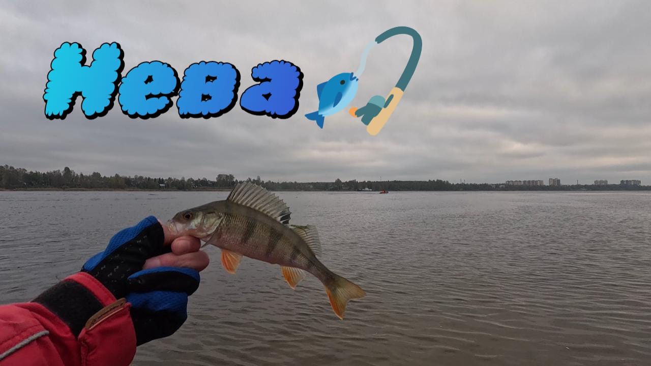 Рыбалка на Неве!