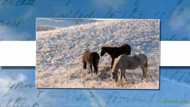 Alexander Karshkov - Я в эту жизнь спешил войти