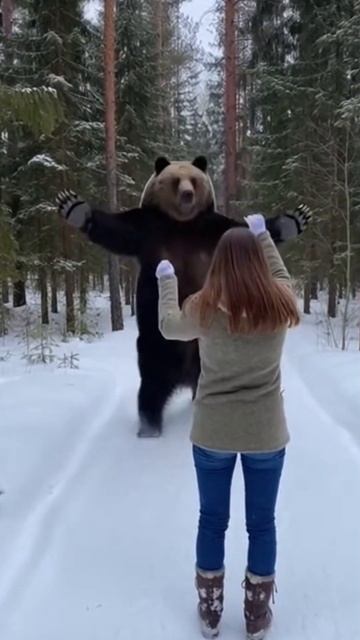 #shorts медведь