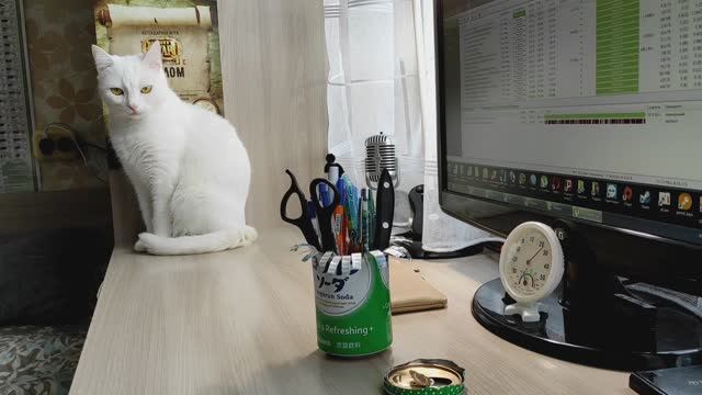 Подставка для карандашей своими руками