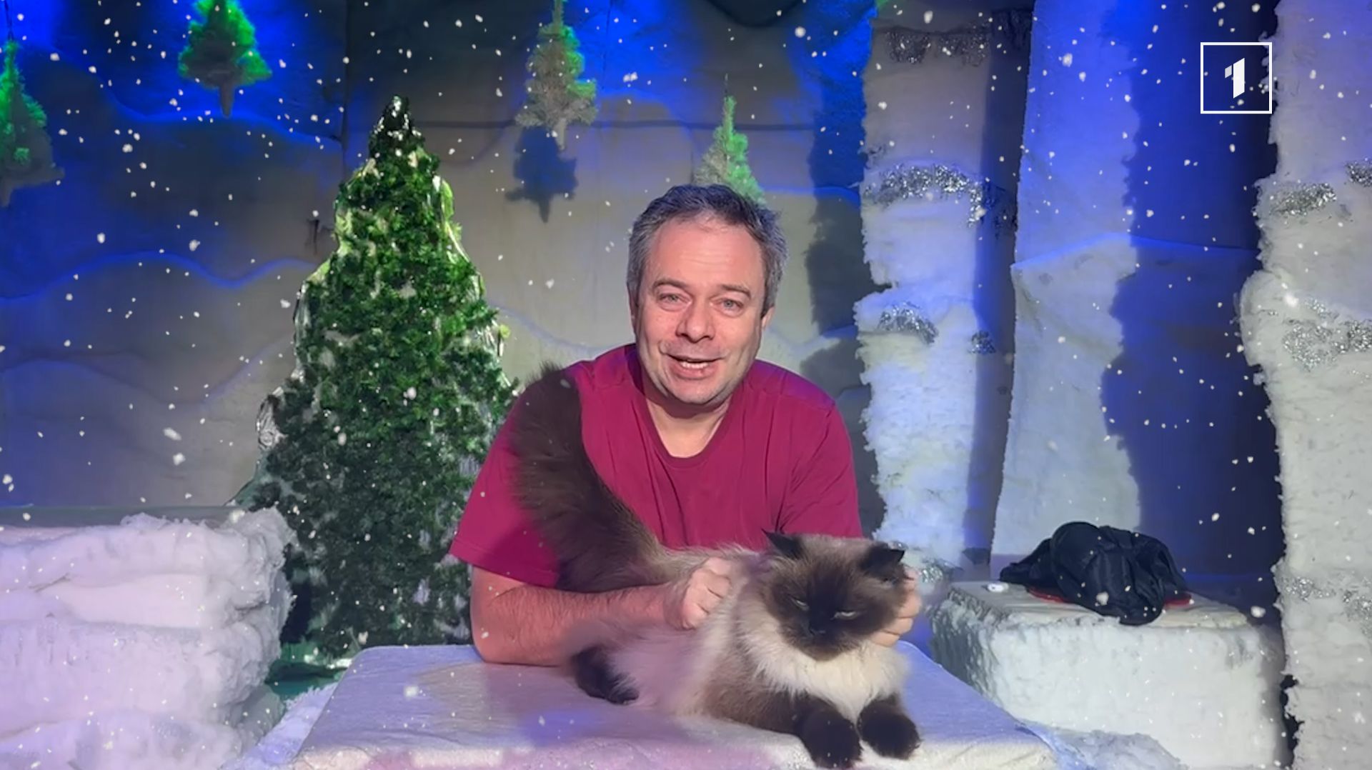 "ПОЛИГОН" поздравляет зрителей С НОВЫМ ГОДОМ! 🎄⛄️