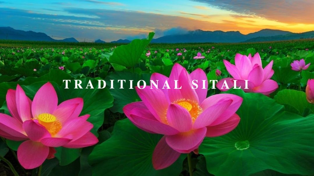 ТРАДИЦИОННОЕ СИТАЛИ (ОХЛАЖДАЮЩАЯ ПРАНАЯМА) | 𝐓𝐑𝐀𝐃𝐈𝐓𝐈𝐎𝐍𝐀𝐋 𝐒𝐈𝐓𝐀𝐋𝐈