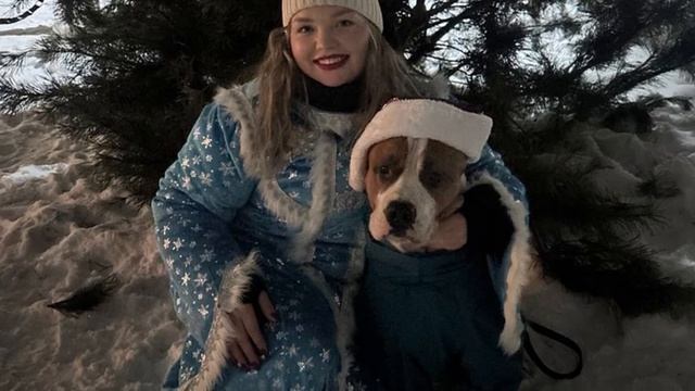 Амстаффы Ценный Приз поздравляют с 2026 Новым годом!