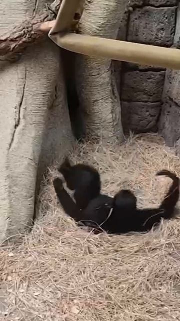 Мастер брейк-данса 🤩