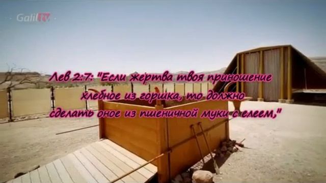 2 Левит вторая глава