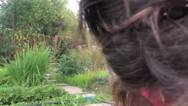 Прятки с Любавой!