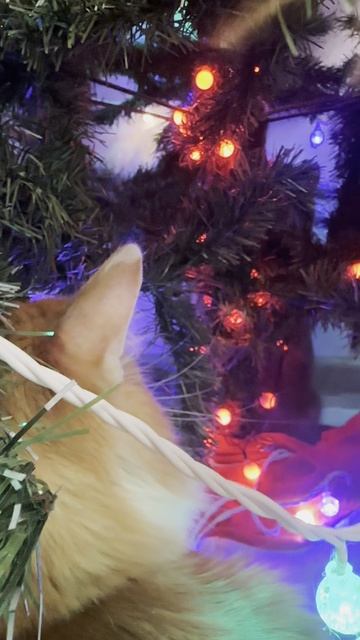 Один и ЛУна. Семейные разборки под новогодней ёлкой.