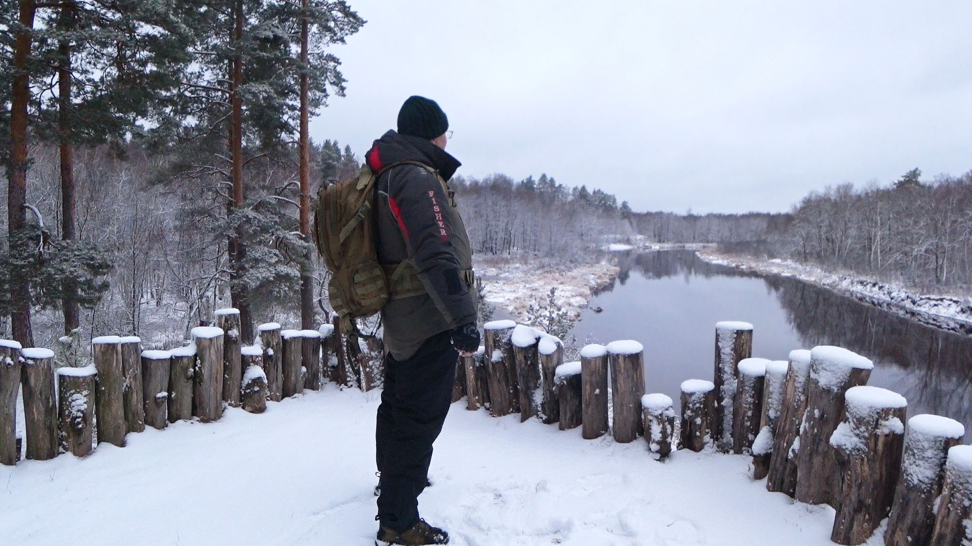ЭТОТ ЧУДЕСНЫЙ ОКСКИЙ ЗАПОВЕДНИК! Журавли, зубры и Музей Природы в Брыкином Бору