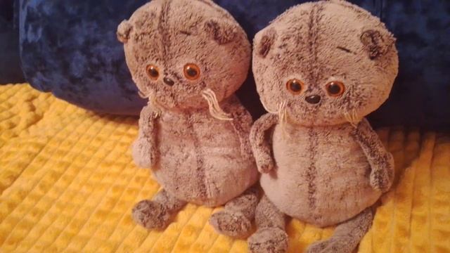 новости о прогулке