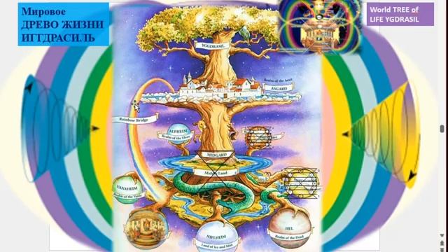 СОНАСТРОЙКА в джунглях Гоа Индии на поток Духа нового дня